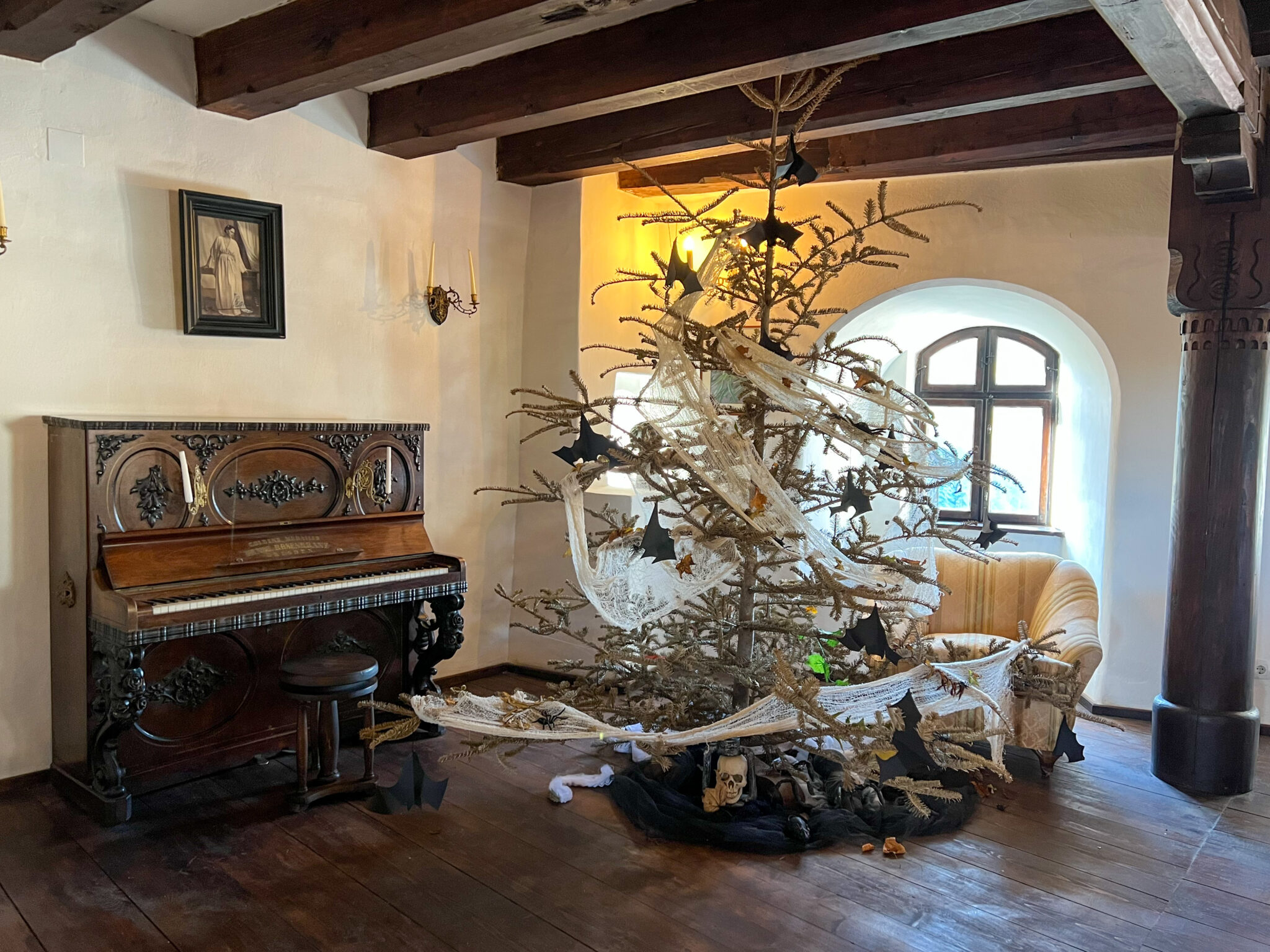 Transylvania, Dracula, Paranormal Tourism, and the Most Haunted Forest ...