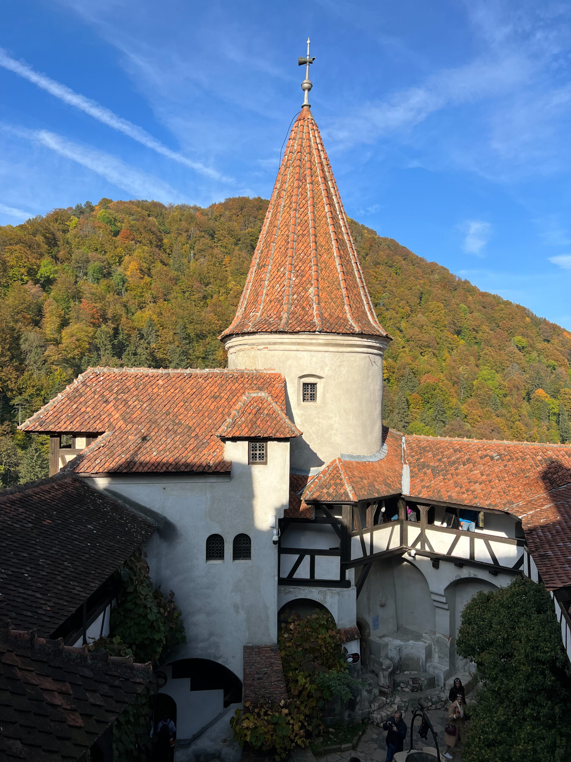 Transylvania, Dracula, Paranormal Tourism, and the Most Haunted Forest ...